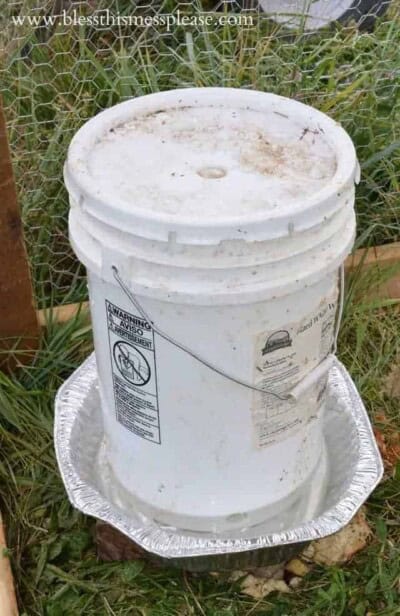 DIY Chicken Waterer and Feeder From 5-Gallon Buckets