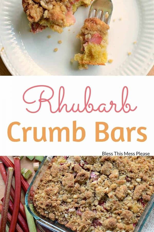 Rhubarb Crumb Bars — Bless this Mess
