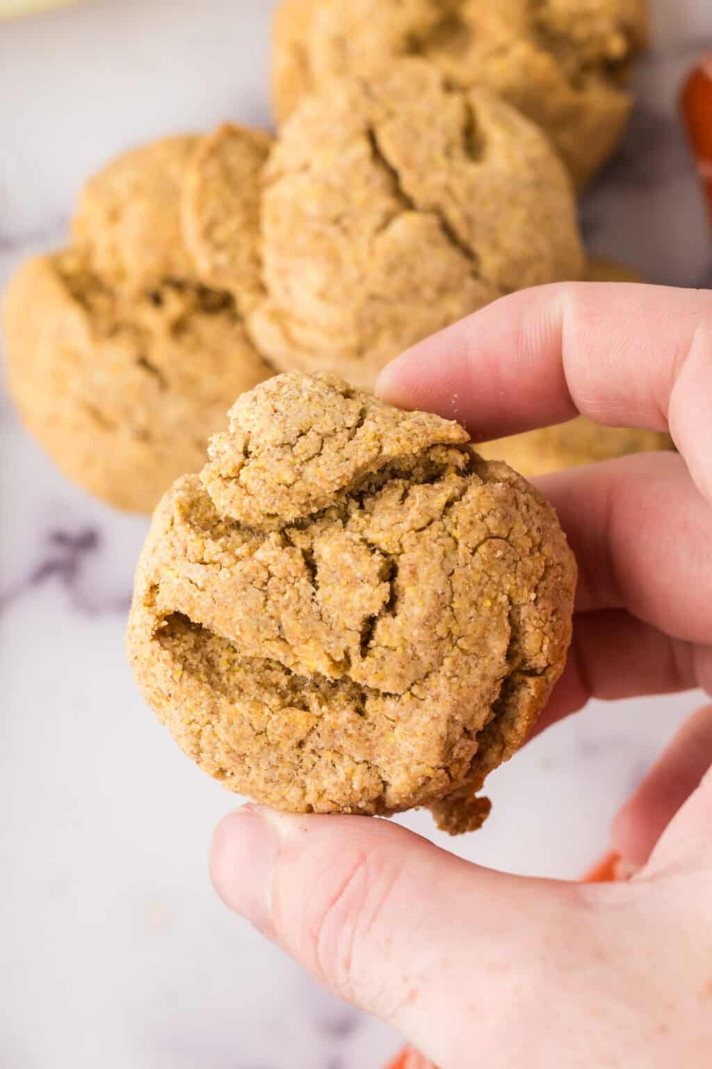Maple Cornmeal Biscuits — Bless this Mess