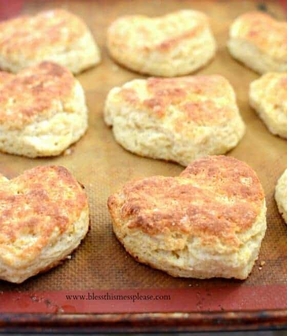 The Best Biscuit Recipe Ever, Really — Bless this Mess