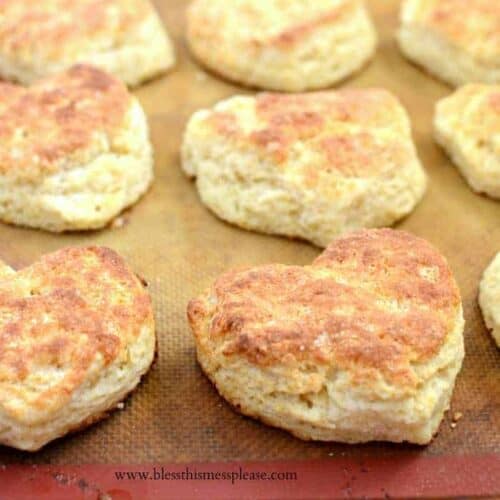The Best Biscuit Recipe Ever, Really — Bless this Mess
