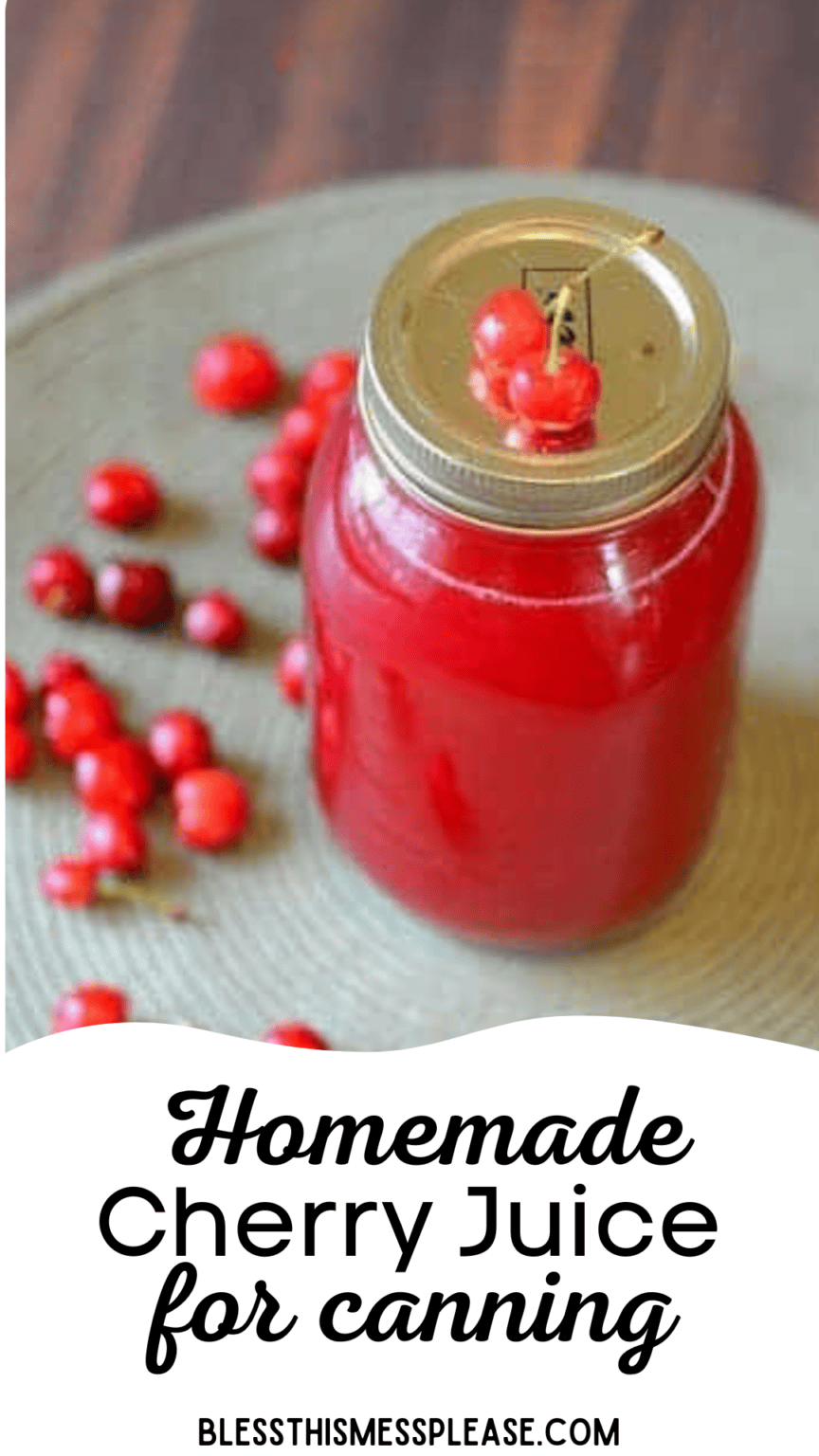 Homemade Cherry Juice Recipe Made With Steam Juicer — Bless this Mess