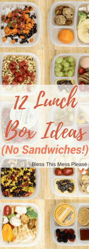 12 Healthy Lunch Box Ideas for Kids or Adults | Creative Lunches