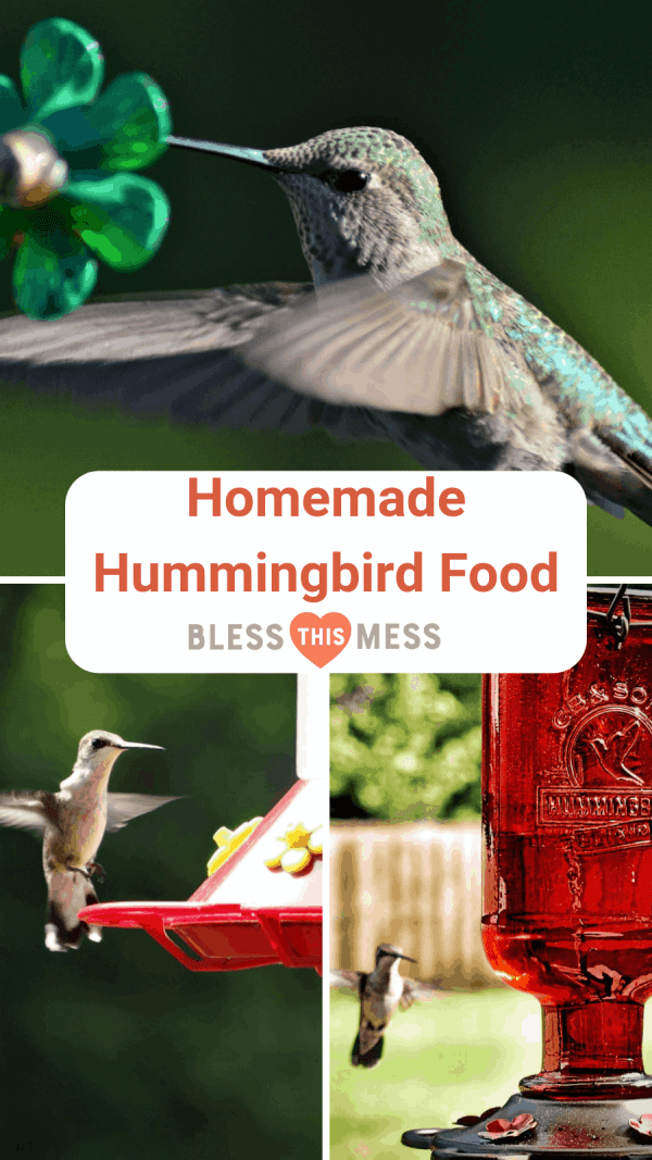 The Best Homemade Hummingbird Food Recipe | Bless This Mess