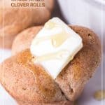 Whole Wheat Clover Rolls | Homemade Dinner Rolls Recipe