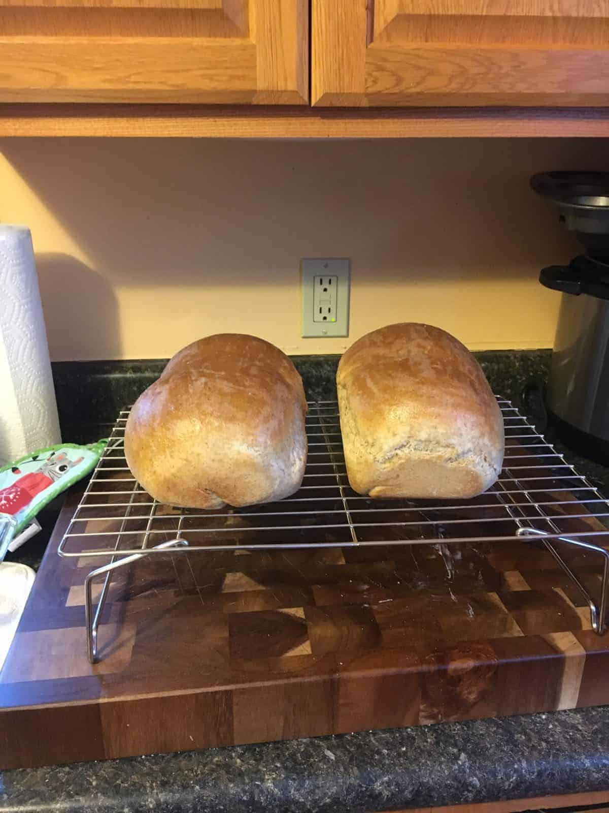 Mom's 4 Loaf Wheat Bread Recipe | How to Make Homemade Bread