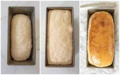 Soft Sourdough Sandwich Bread — Bless this Mess