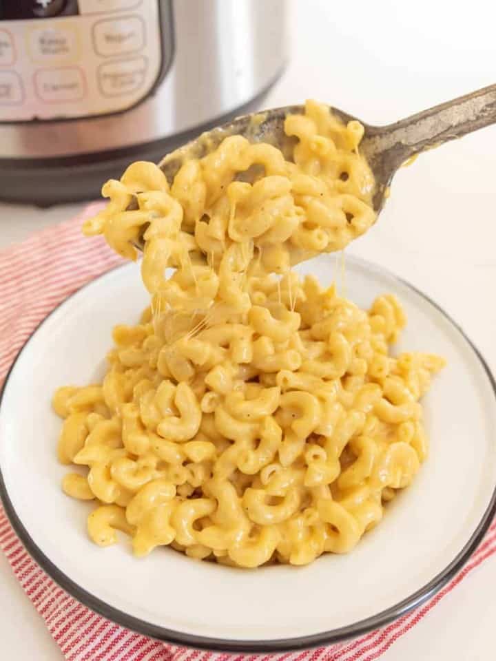 Easy & Healthy Dinner Ideas — Bless this Mess