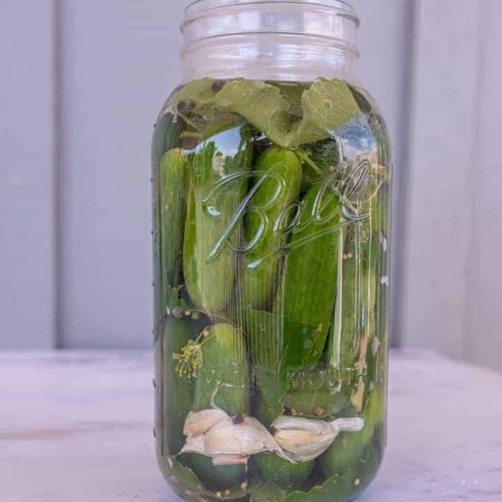 Grandma-Approved Easy Fermented Pickles Recipe — Bless this Mess