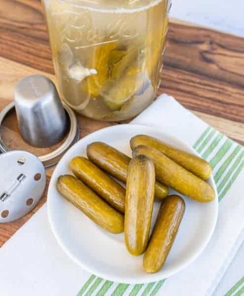 Grandma-Approved Easy Fermented Pickles Recipe — Bless this Mess