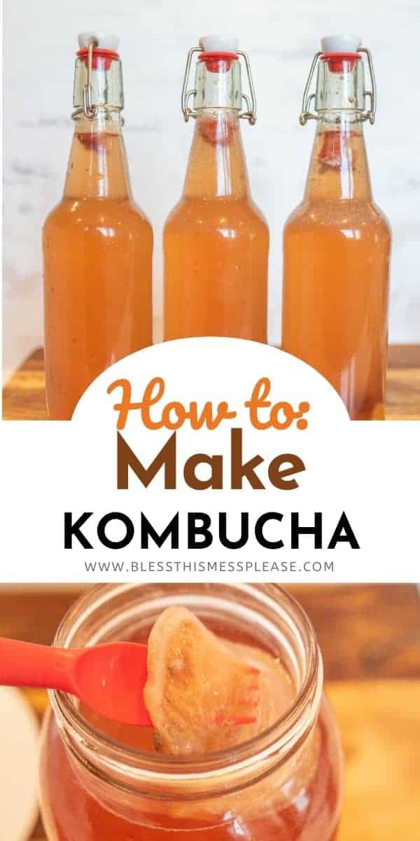 Easy Homemade Kombucha Recipe {Step-by-Step Process} — Bless this Mess