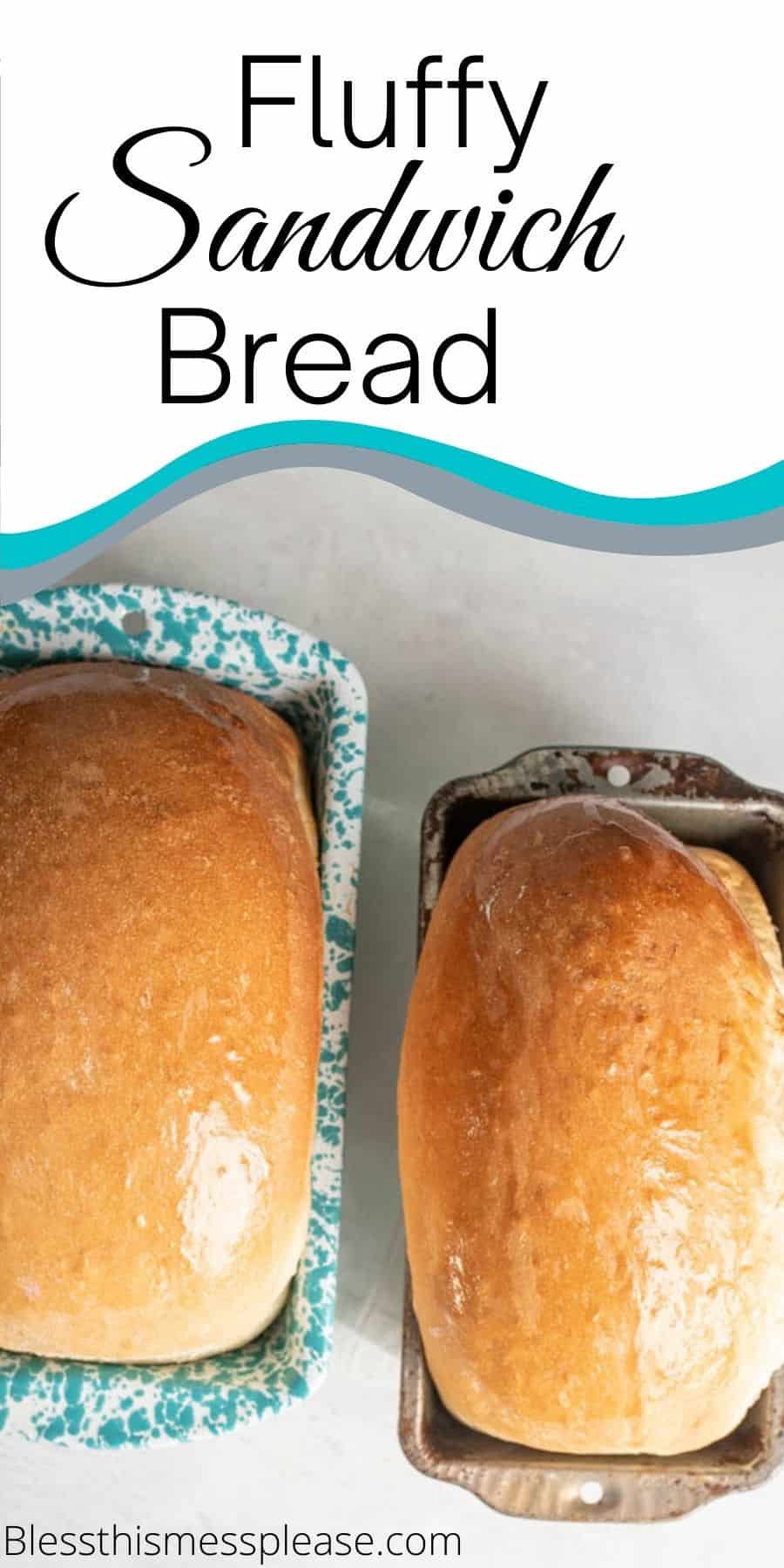 Jolyn's Extra Soft White Bread Recipe — Bless this Mess