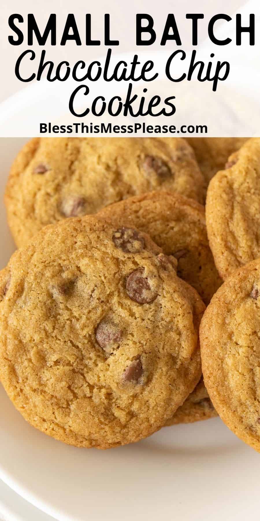 Small Batch Chocolate Chip Cookies Recipe (Makes 6 Cookies!) — Bless ...