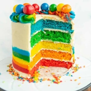 Rainbow Cake — Bless this Mess