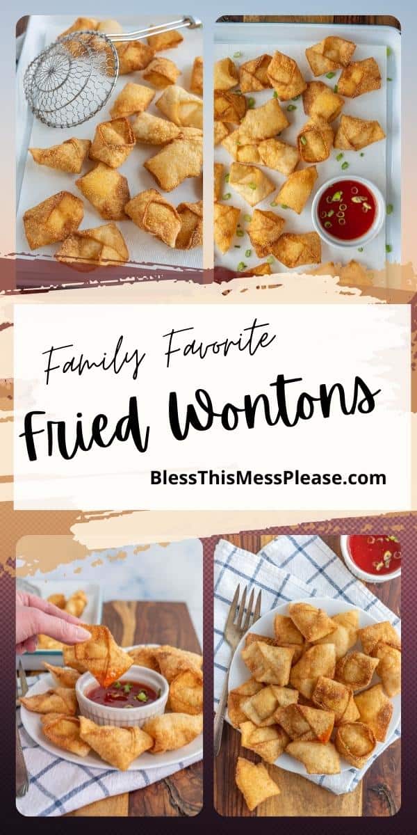 Fried Wonton Recipe — Bless this Mess