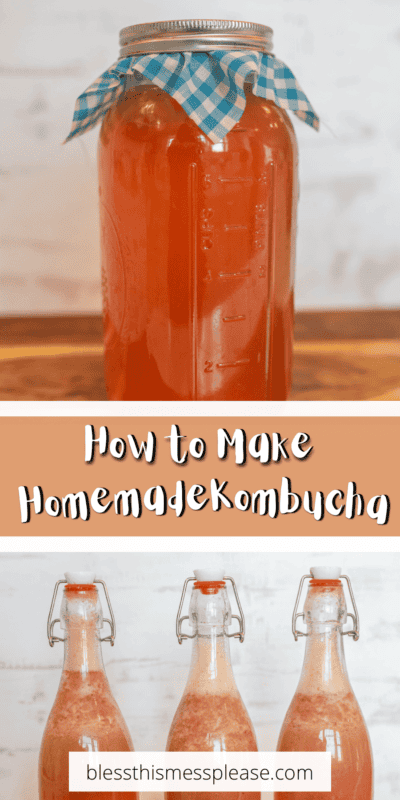 How to Make Kombucha at Home - Easy Recipe — Bless this Mess
