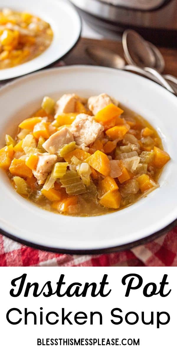 Instant Pot Chicken Soup — Bless this Mess