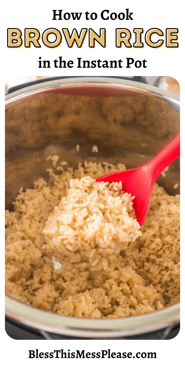 Instant Pot Brown Rice — Bless this Mess
