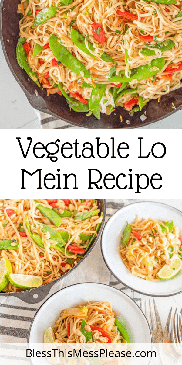 Vegetable Lo Mein — Bless this Mess