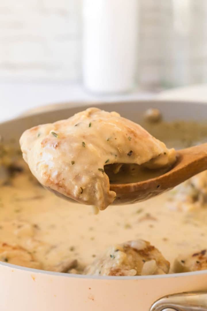 Chicken Fricassee — Bless this Mess