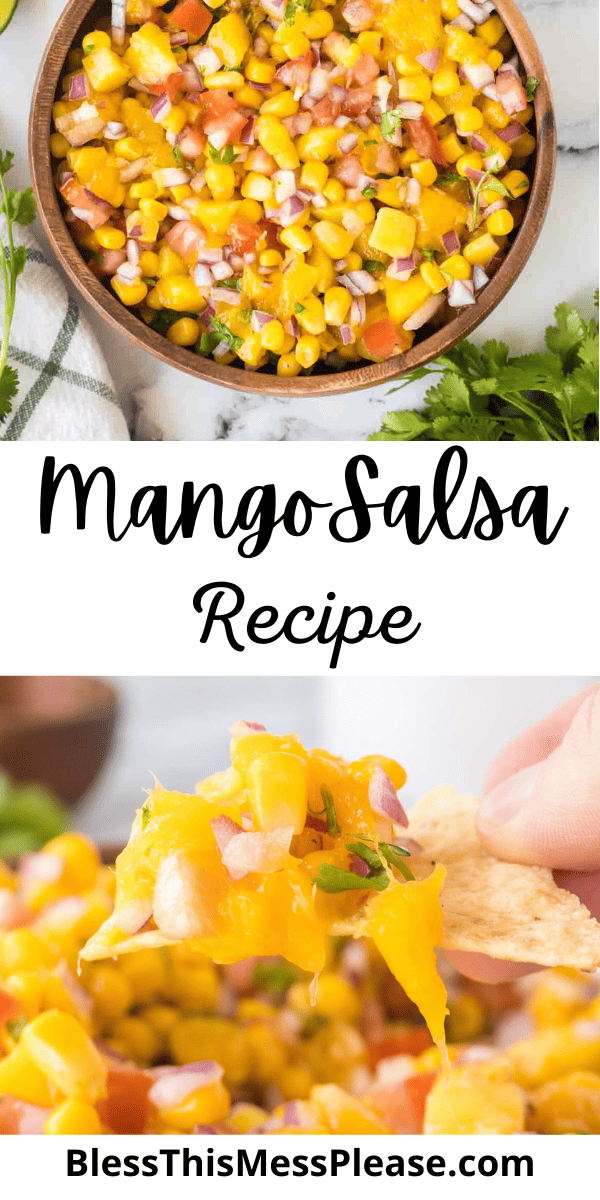 Mango Salsa — Bless this Mess
