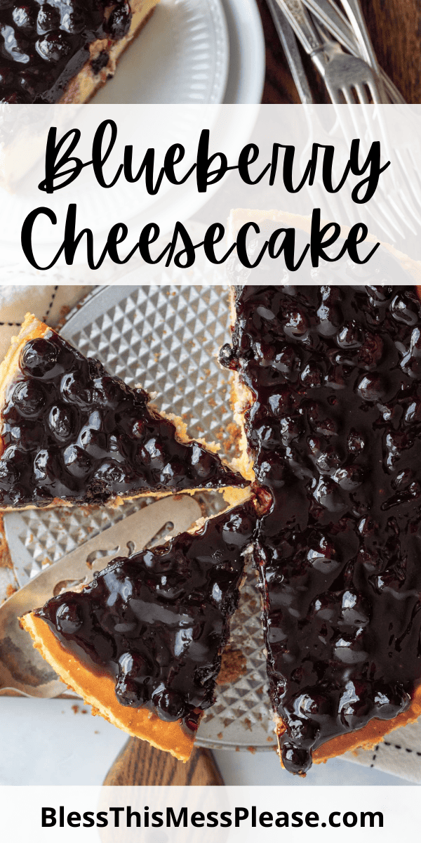 Blueberry Cheesecake — Bless this Mess