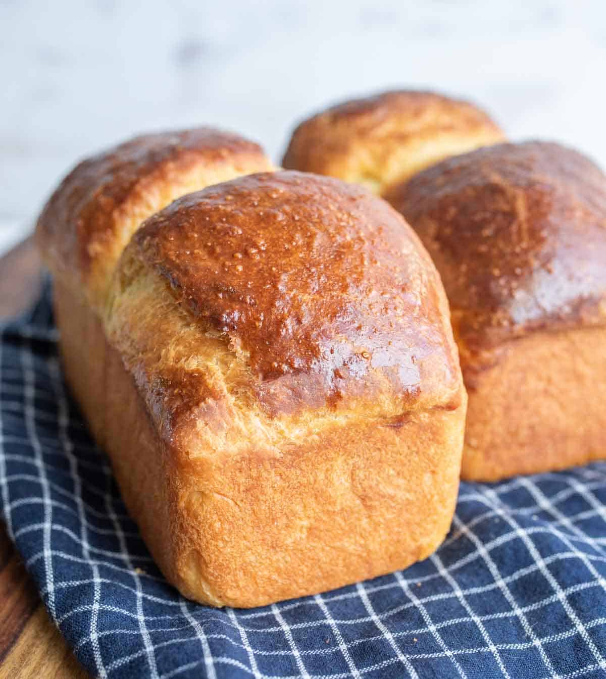 Brioche Bread — Bless this Mess