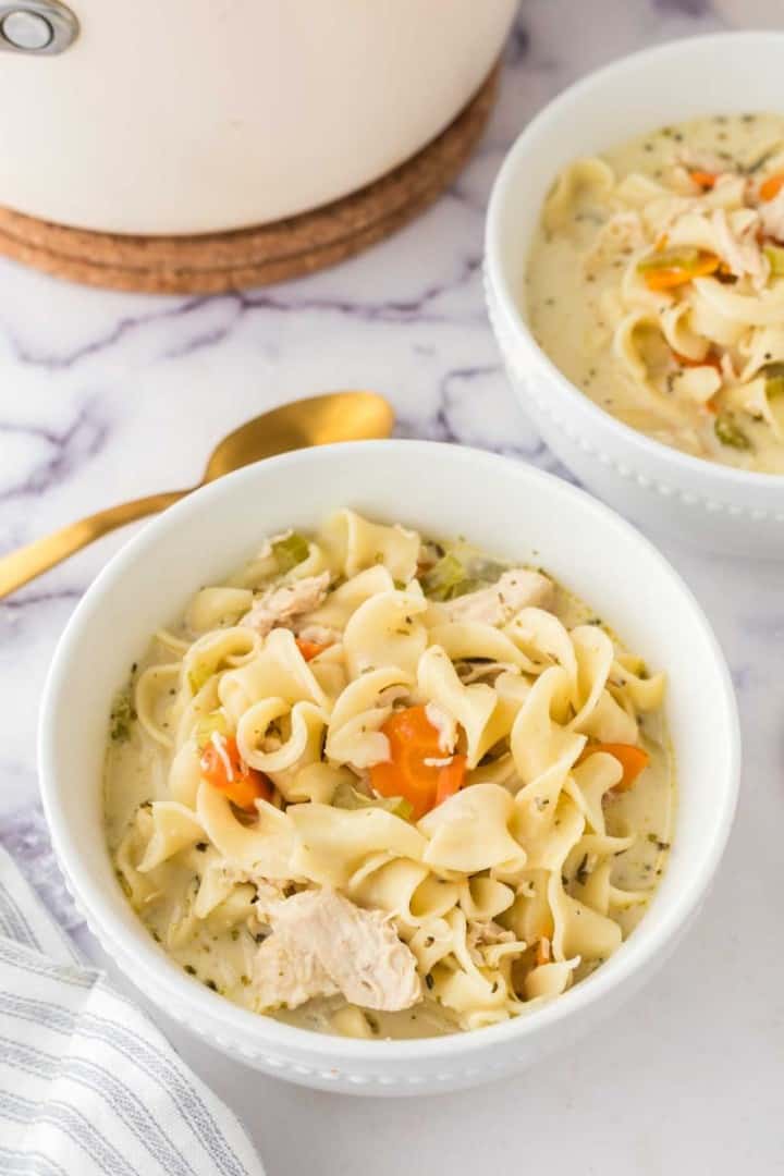 Classic Chicken Noodle Soup — Bless this Mess
