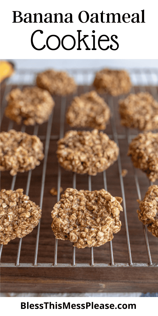 Banana Oatmeal Cookies — Bless this Mess