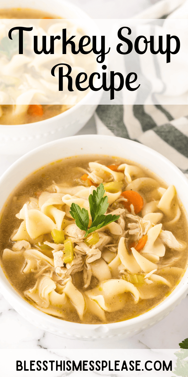 Turkey Soup — Bless this Mess