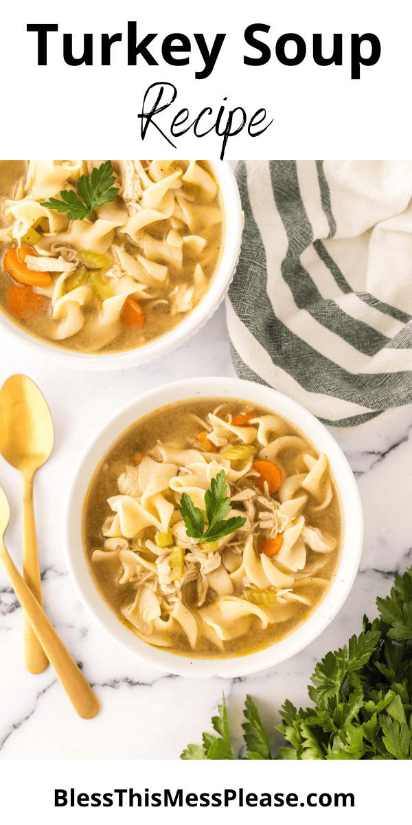 Turkey Soup — Bless this Mess