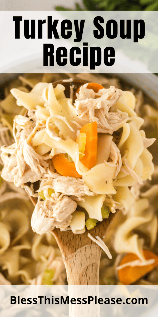 Turkey Soup — Bless this Mess