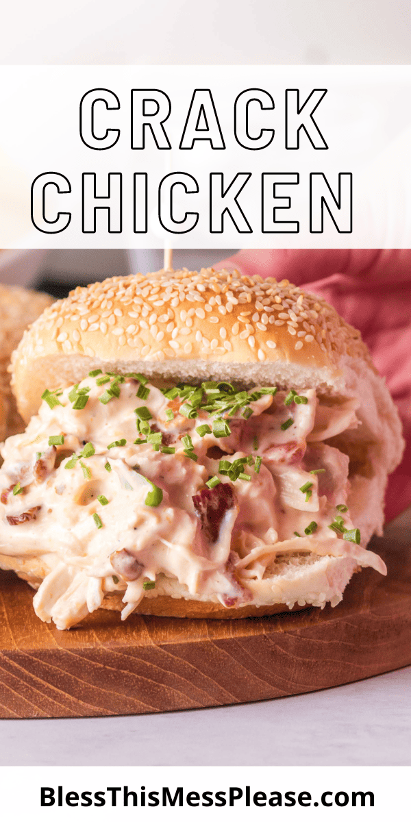 Crack Chicken Recipe — Bless this Mess