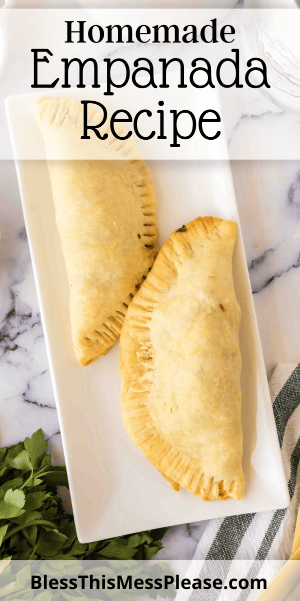 Homemade Empanada Recipe — Bless this Mess