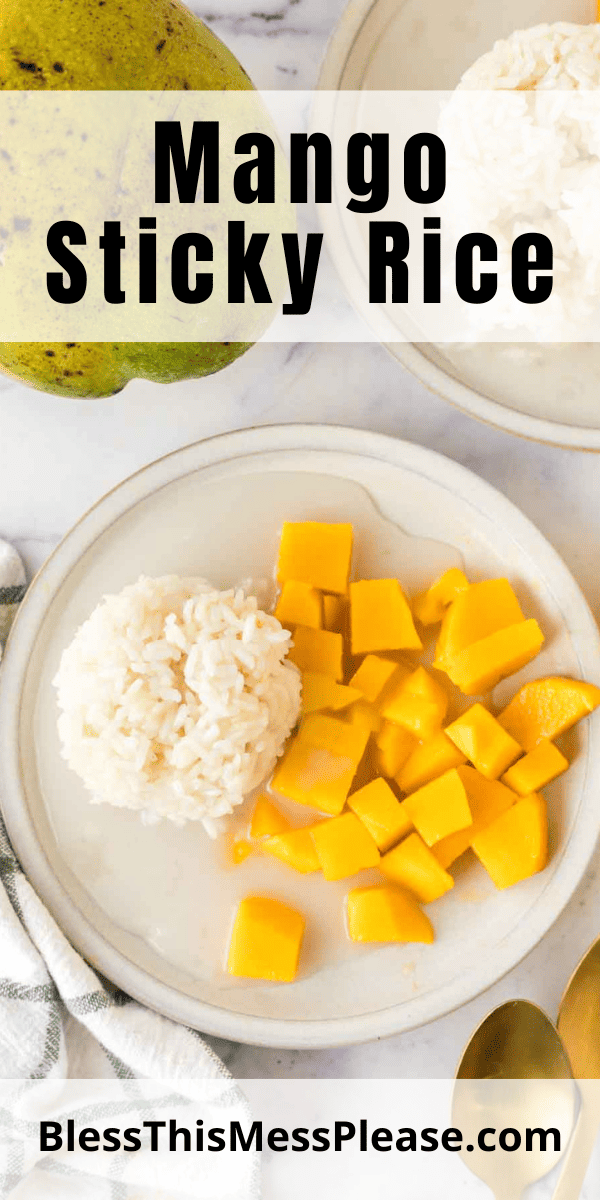 Mango Sticky Rice — Bless this Mess