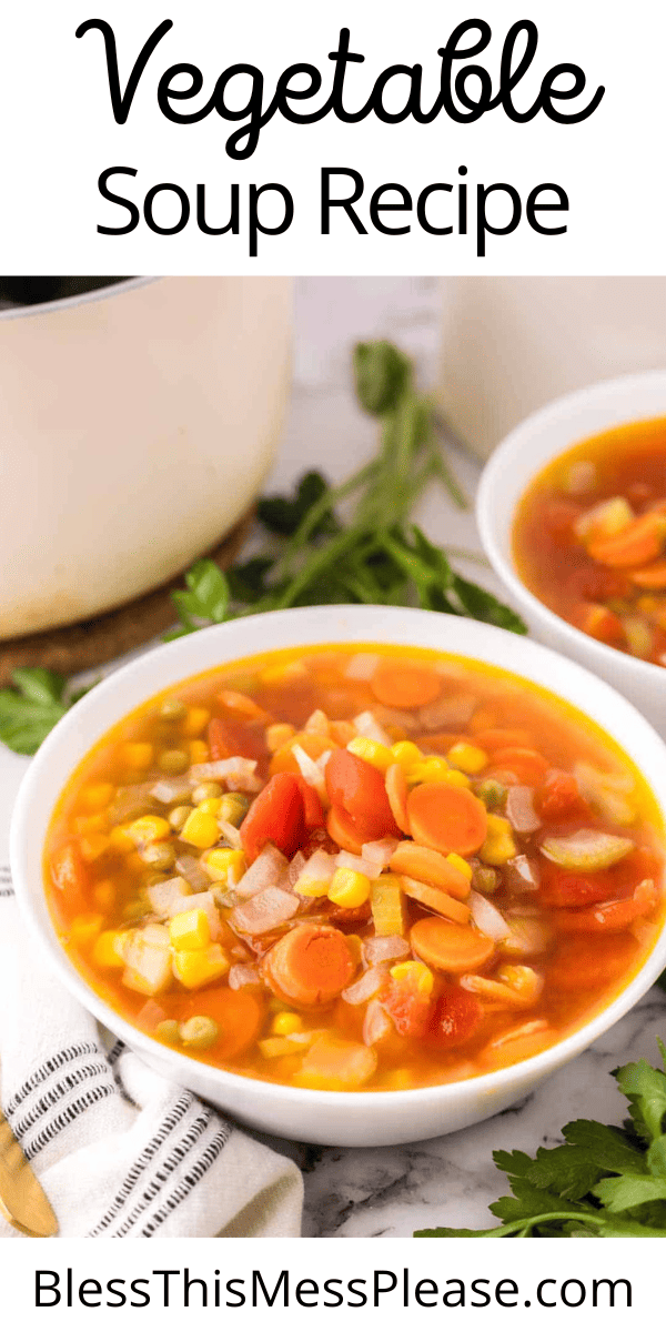 Vegetable Soup — Bless this Mess