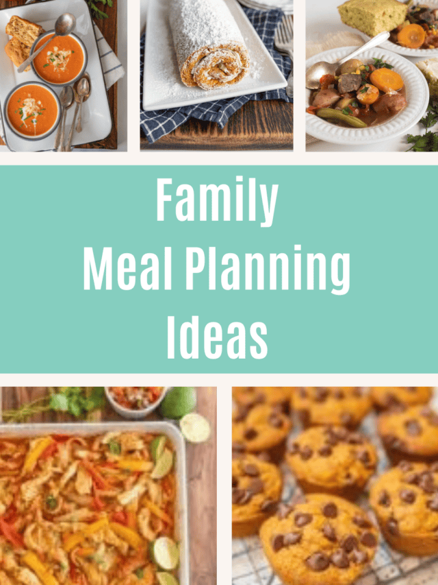 Easy Family Meal Planning Ideas— Bless this Mess