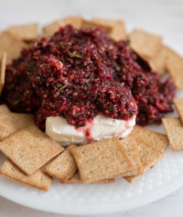 Fresh Cranberry Salsa Recipe | Sweet & Spicy Holiday Dish — Bless this Mess