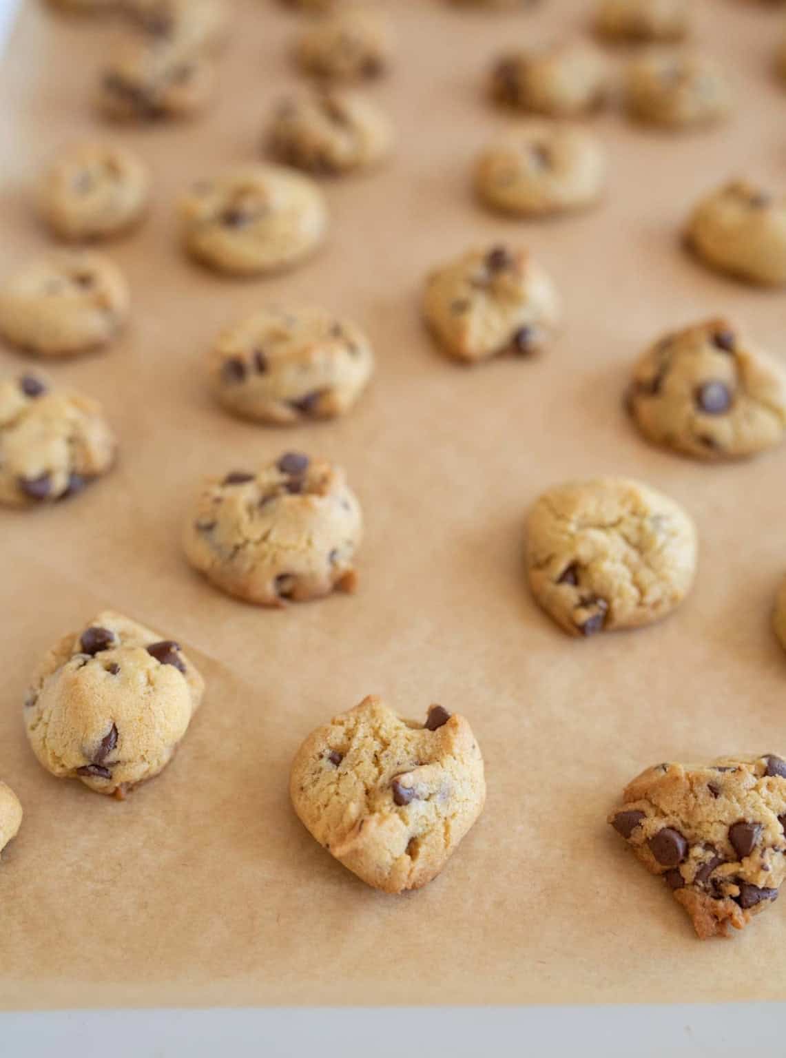 Bite-Sized Mini Chocolate Chip Cookies — Bless this Mess