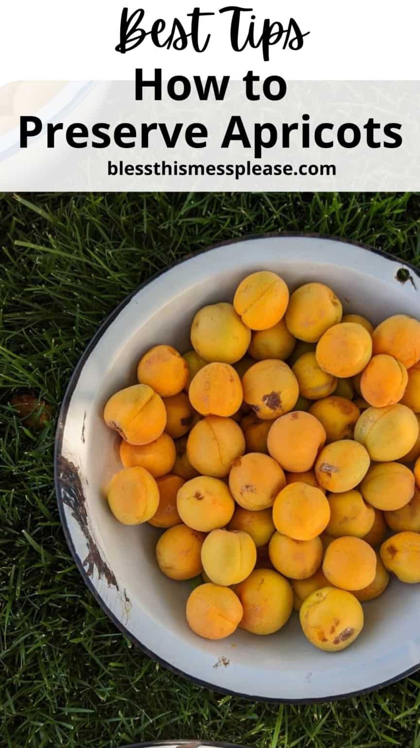 How To Preserve Apricots — Bless this Mess