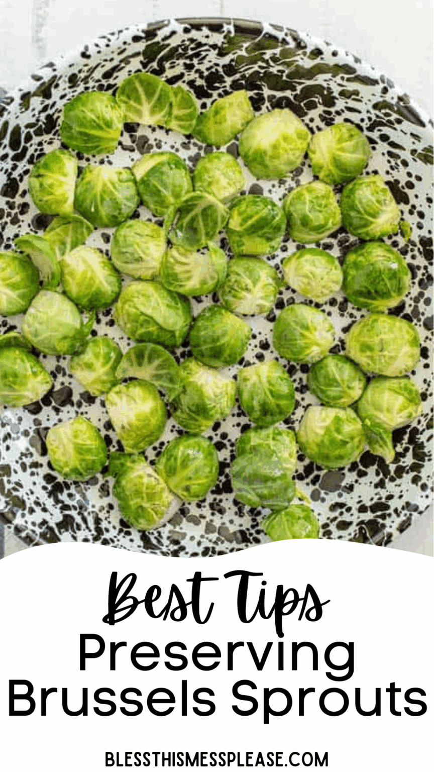 How To Preserve Brussels Sprouts — Bless this Mess
