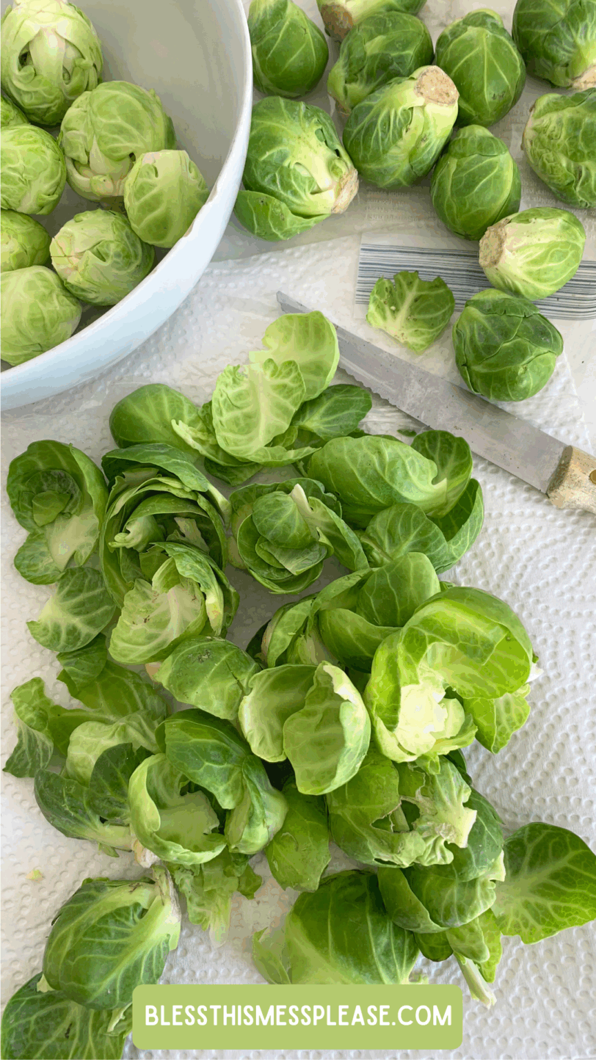 How To Preserve Brussels Sprouts — Bless this Mess