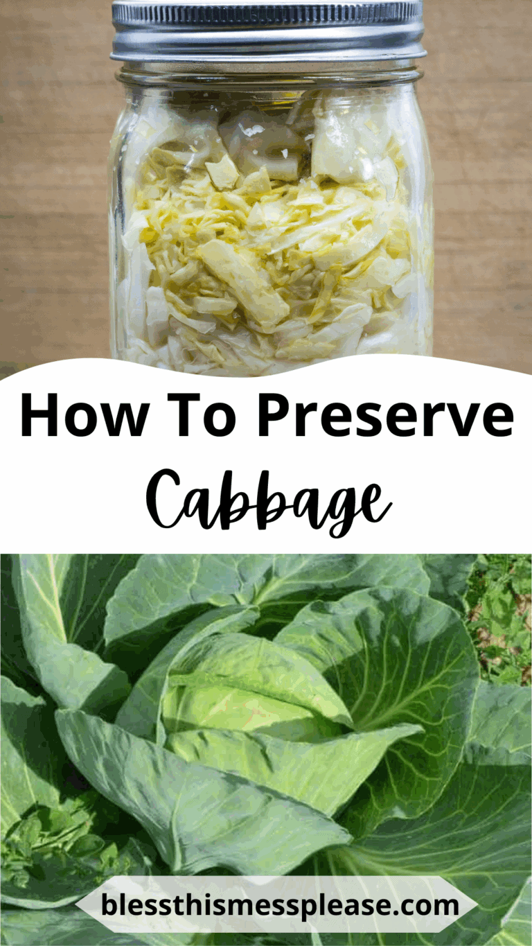 How to Preserve Cabbage to Keep Your Harvest Fresh All Year — Bless ...