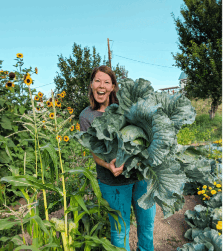 How to Preserve Cabbage to Keep Your Harvest Fresh All Year — Bless ...