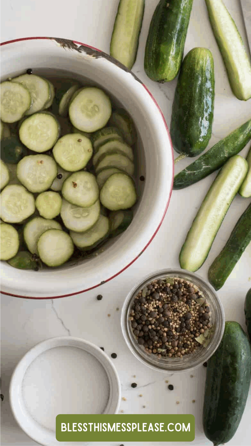 How to Preserve Cucumbers for a Good Summer Snack! — Bless this Mess