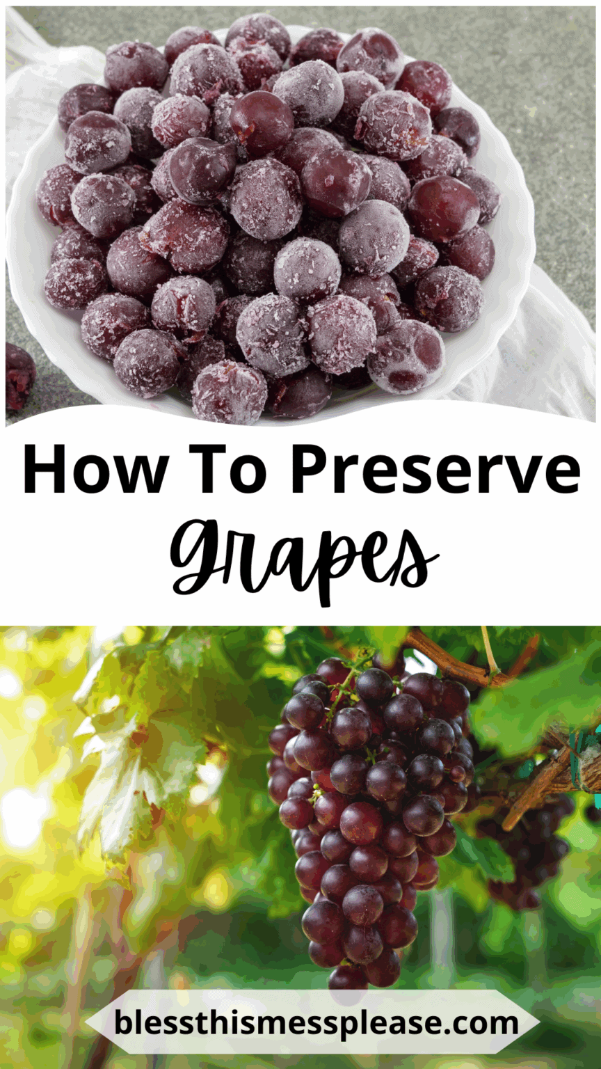 How To Preserve Grapes And All Their Sweetness! — Bless this Mess