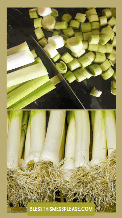 How To Preserve Leeks For Maximum Crispness! — Bless this Mess
