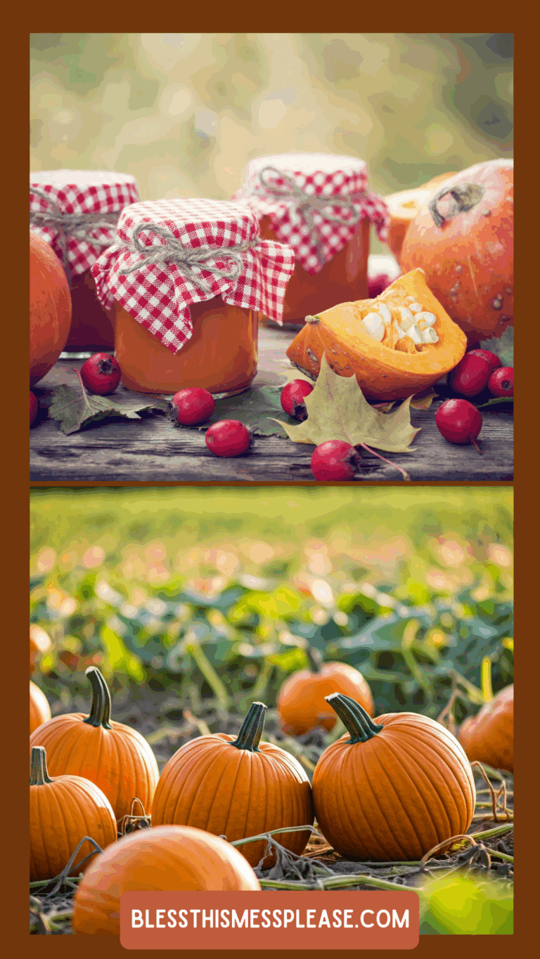 How To Preserve Pumpkins For Fall Fun and Flavor — Bless this Mess