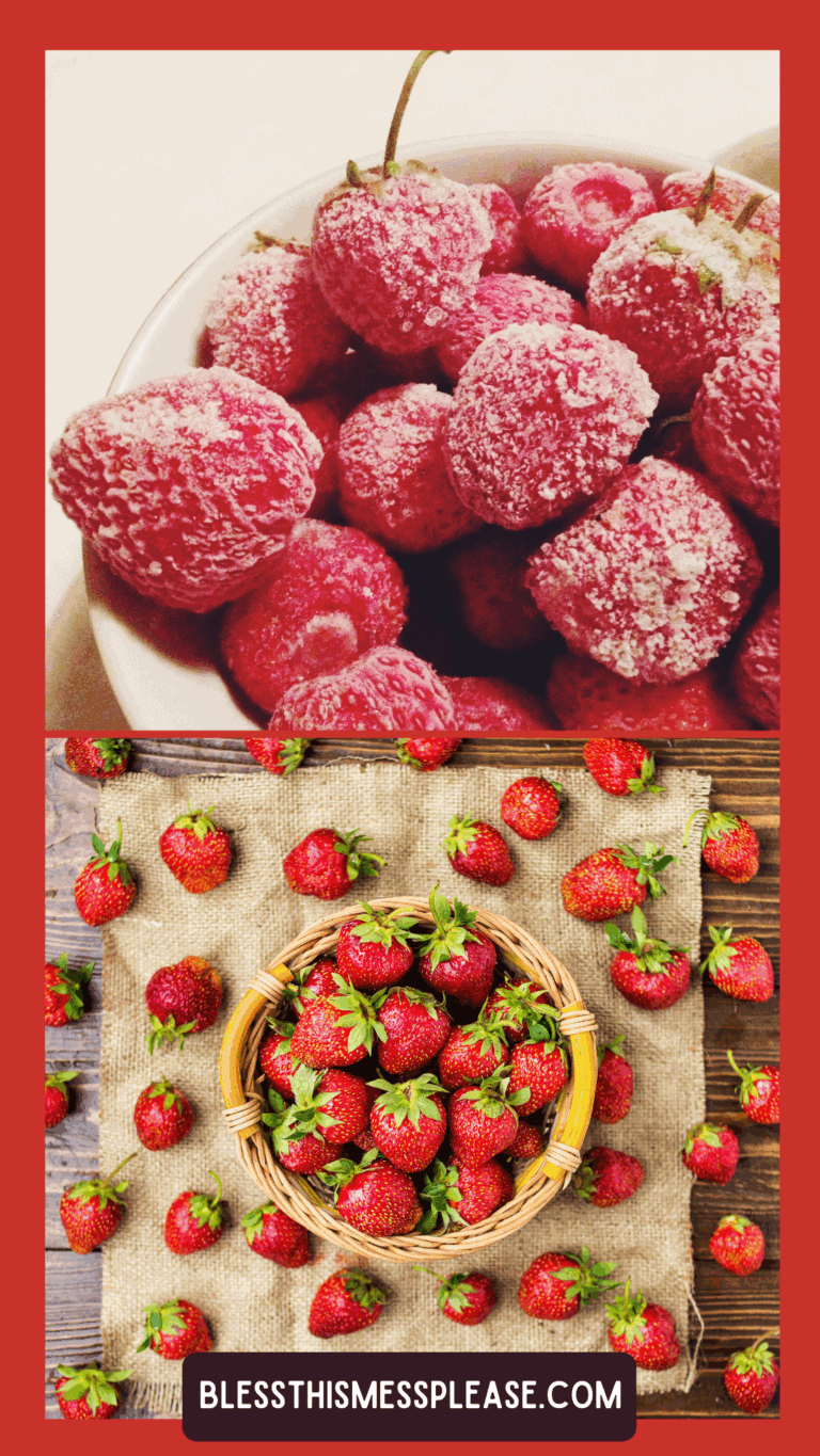 How To Preserve Strawberries For Summer Sweetness! — Bless this Mess