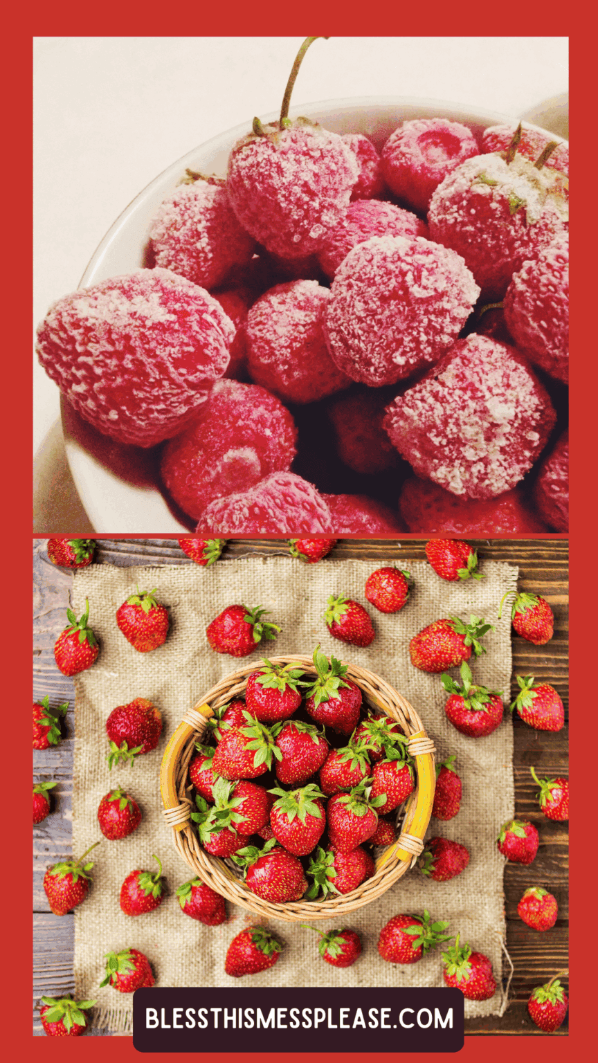 How To Preserve Strawberries For Summer Sweetness! — Bless this Mess
